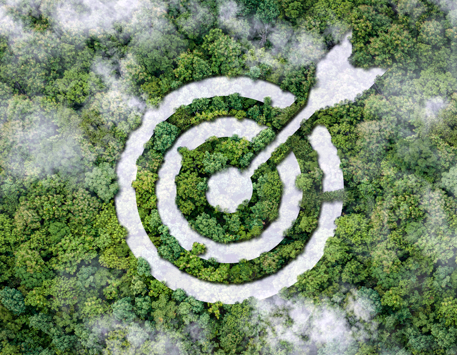 Breaking Down Sustainability Obstacles: Five Ways to Achieve Your Goals ...